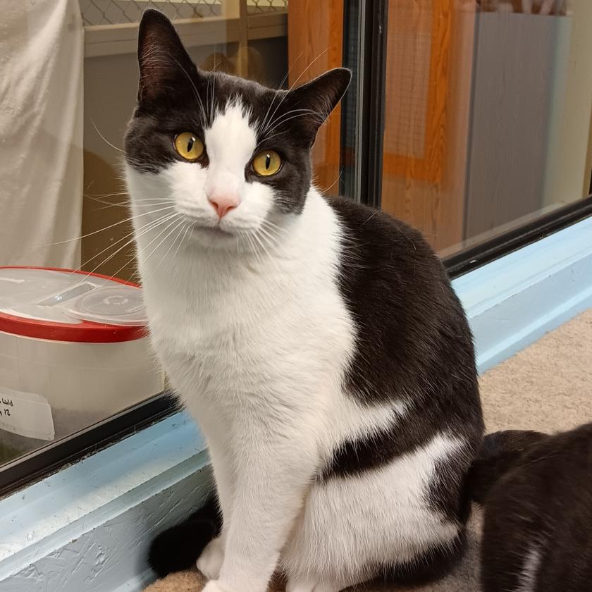 Champion, Ricky & Charles | Animal Control Services