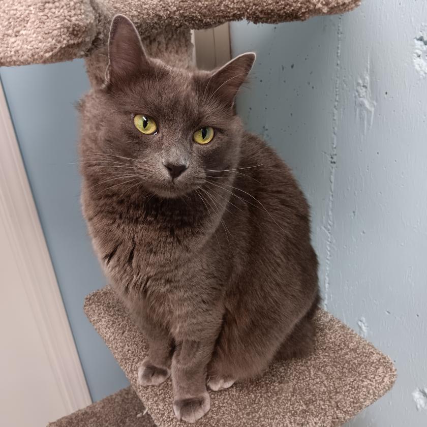 Juno | Animal Control Services