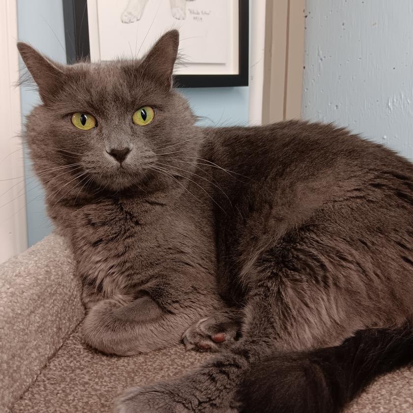 Juno | Animal Control Services