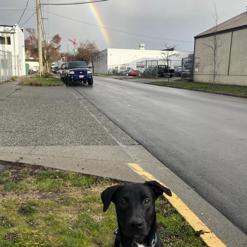 Gus Griswald | Animal Control Services